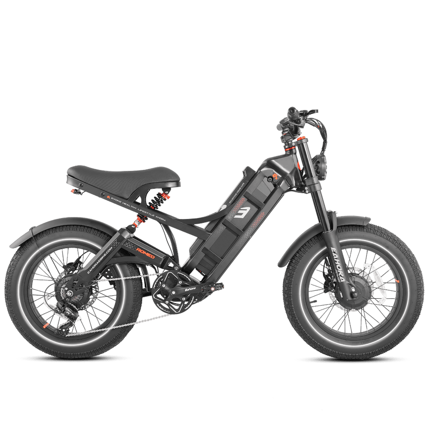 Eahora Romeo Pro II | 3000W Dual Motor 52V 60Ah | Electric Bike 2024 ...