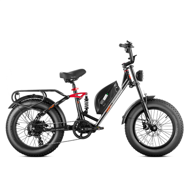 Romeo’s Rear Rack – Eahora Canada