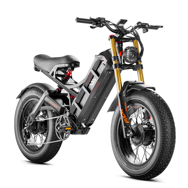 Eahora Romeo Pro II | 3000W Dual Motor 52V 60Ah | Electric Bike 2024 ...