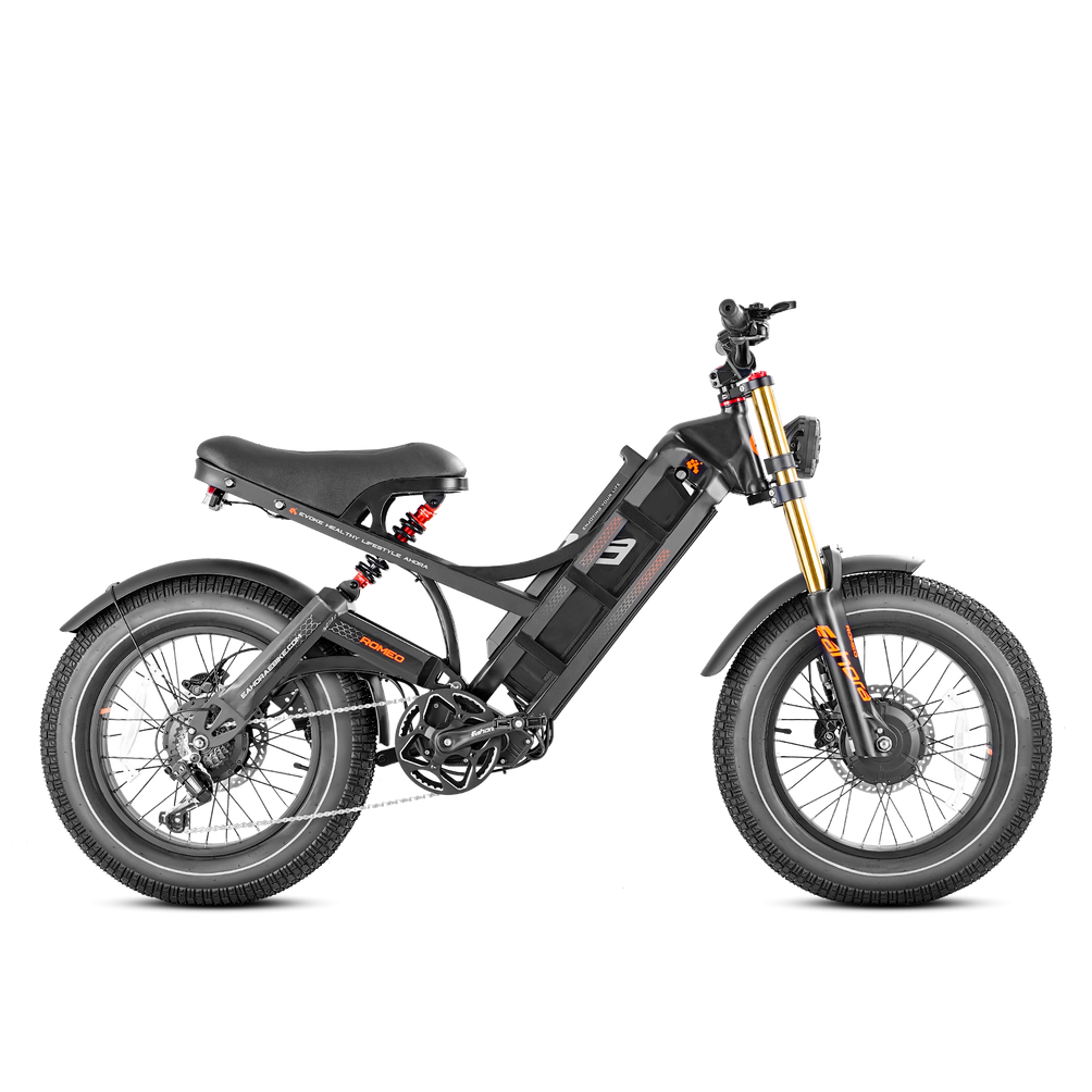 Eahora Electric Bicycles & Scooters | Official Website in Canada ...